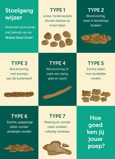 Hoe goed ken jij jouw poep? 💩 | Holland & Barrett