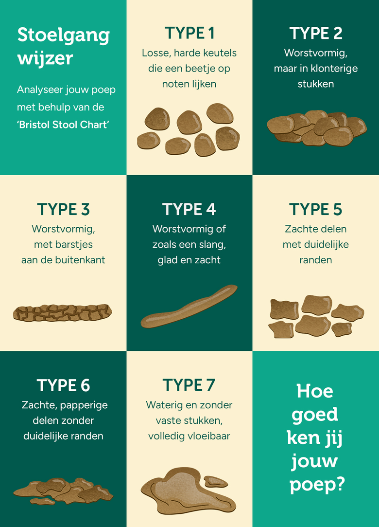 Hoe goed ken jij jouw poep? 💩 | Holland & Barrett
