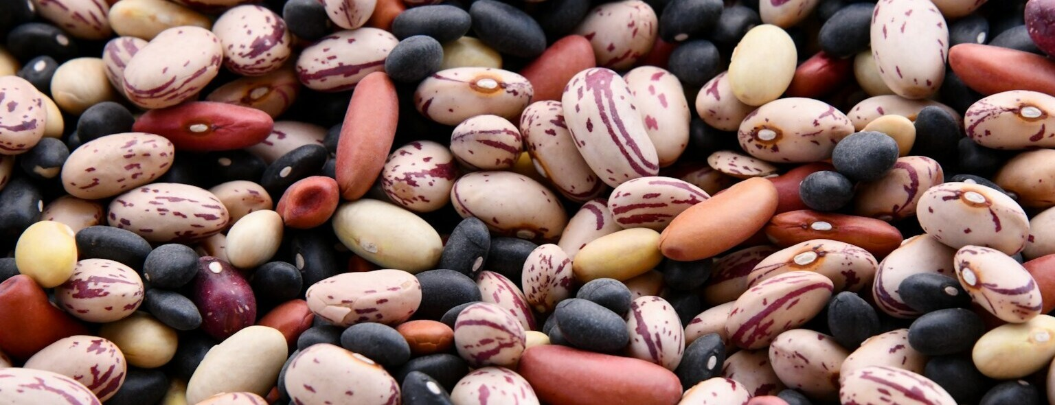 waar zit veel eiwit in