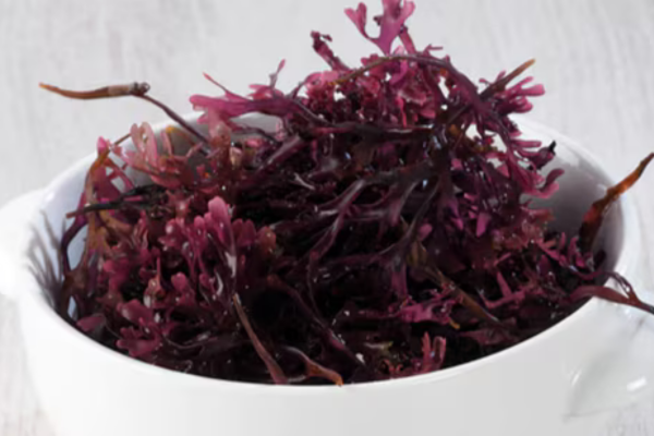 Sea Moss Health Benefits | Holland & Barrett