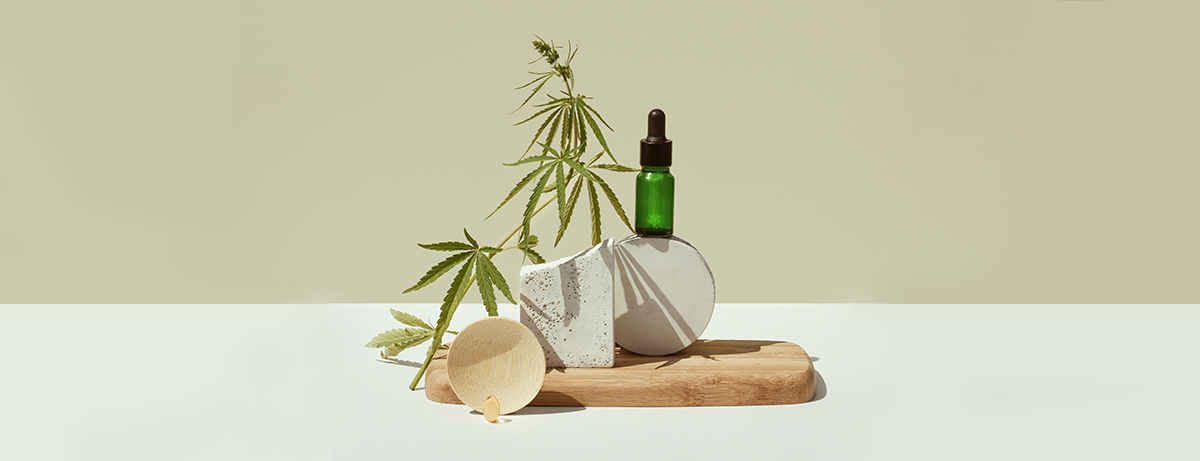 The Ultimate Guide To Hemp Oil | CBD | Holland & Barrett