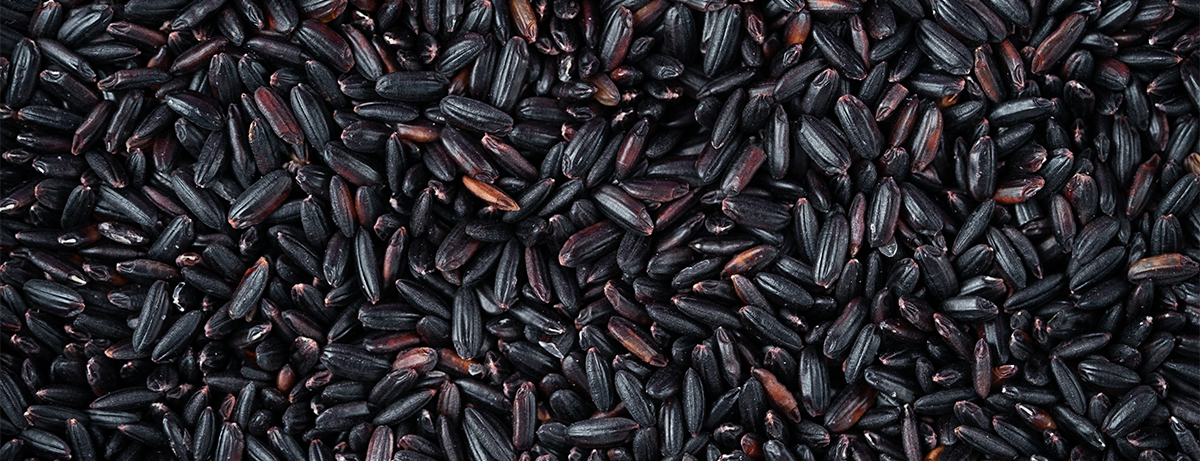 11 Health Benefits Of Black Rice | Holland & Barrett
