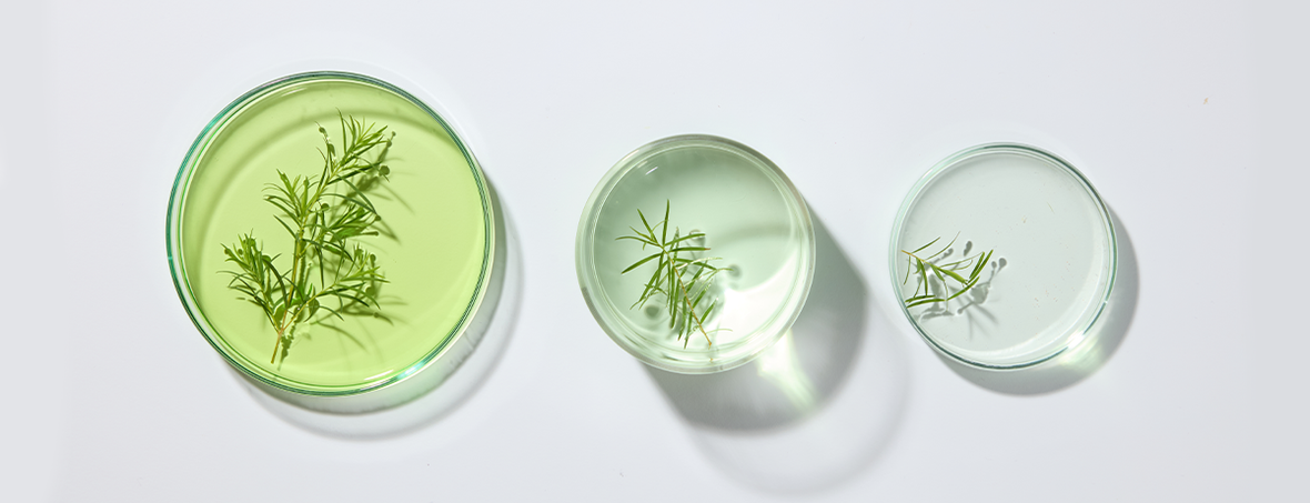 How to Make a Tea Hair Rinse and the Benefits | Holland & Barrett