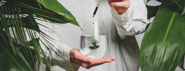 Your Guide To Chlorophyll | Benefits | Holland & Barrett