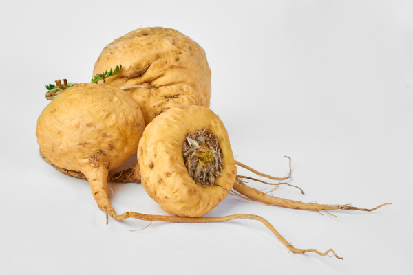 Maca root: what is it & what are its benefits? | H&B