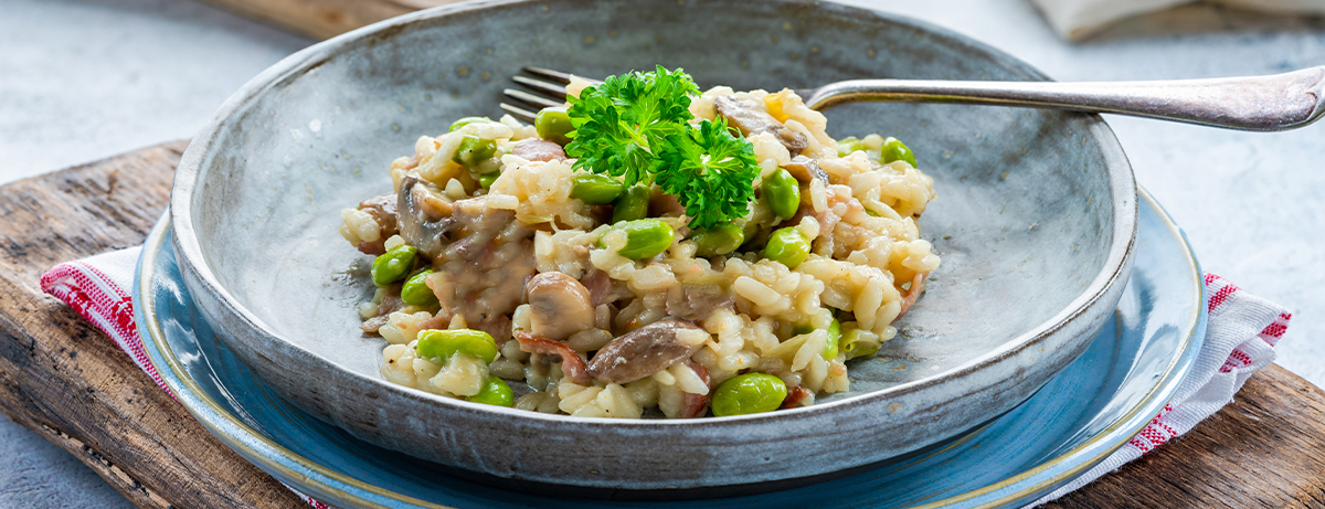 5 of the Best Functional Mushrooms – How Do They Work and What Are ...