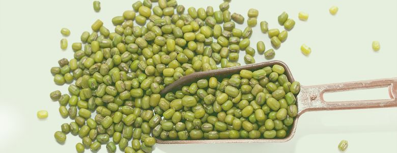 Mung Bean Guide | Benefits, Nutrition & More | Holland & Barrett