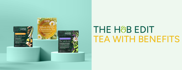 Which Teabag Should You Choose? | Best Tea for You | H&B