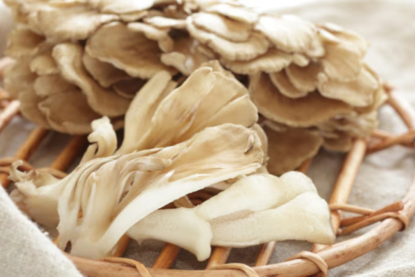 5 of the Best Functional Mushrooms – How Do They Work and What Are ...