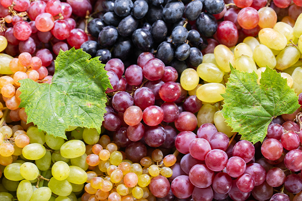 How Grape Seeds Benefit Your Health | Holland & Barrett