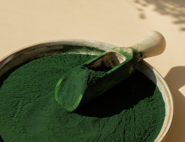 Your Guide To Chlorophyll | Benefits | Holland & Barrett