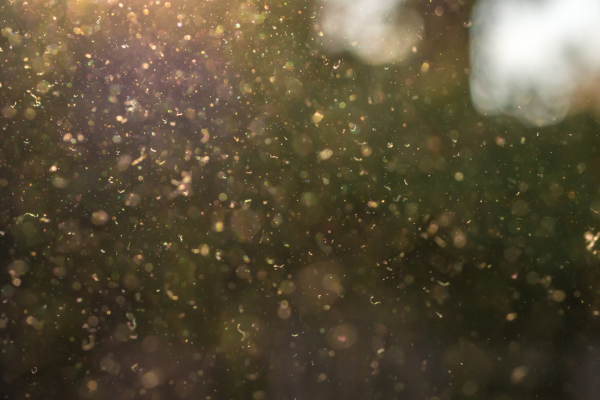 Hives: does hay fever rash exist? | Allergic reactions | H&B