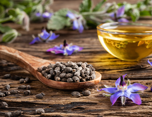 4 Ways To Use Starflower Oil | Starflower Benefits | H&B