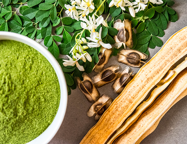 What is Moringa: Health Benefits & Risks | Holland & Barrett
