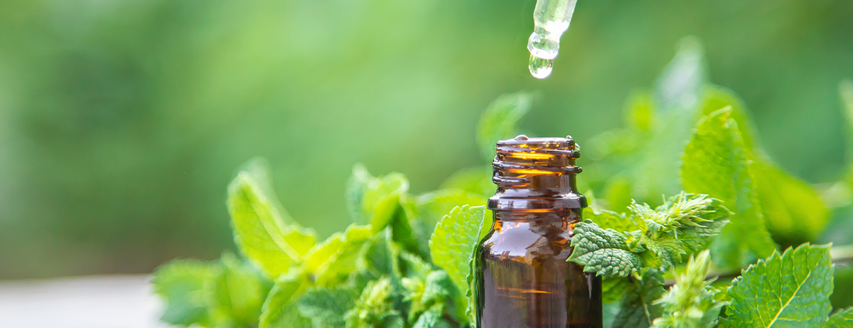 Peppermint Oil: Benefits, Side-Effects, Dosage & Uses | Holland & Barrett