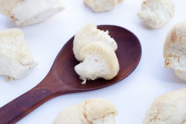 5 of the Best Functional Mushrooms – How Do They Work and What Are ...