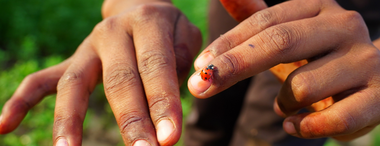 What causes warts on fingers? | Finger wart removal | H&B